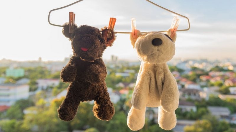 Can Bed Bugs Live in Toys? | Essential Prevention and Treatment Tips ...