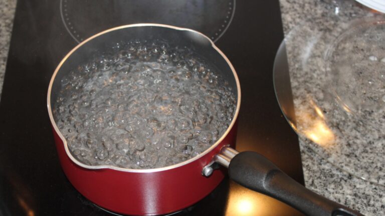 How to Get Rid of Pavement Ants | Proven Techniques and Tips - Pest Samurai