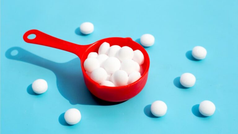 9 Best Lizard Repellents That Actually Work | A Detailed Guide - Pest ...