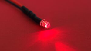 Do LED Lights Attract Bugs? | Information and Facts - Pest Samurai