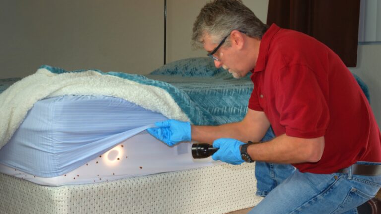 Bed Bugs | Exterminator vs DIY Solutions - Pest Samurai